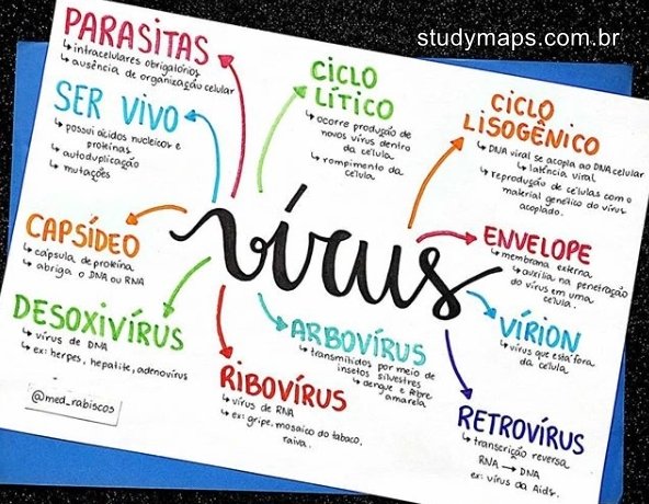 MAPA MENTAL SOBRE OS VÍRUS - STUDY MAPS