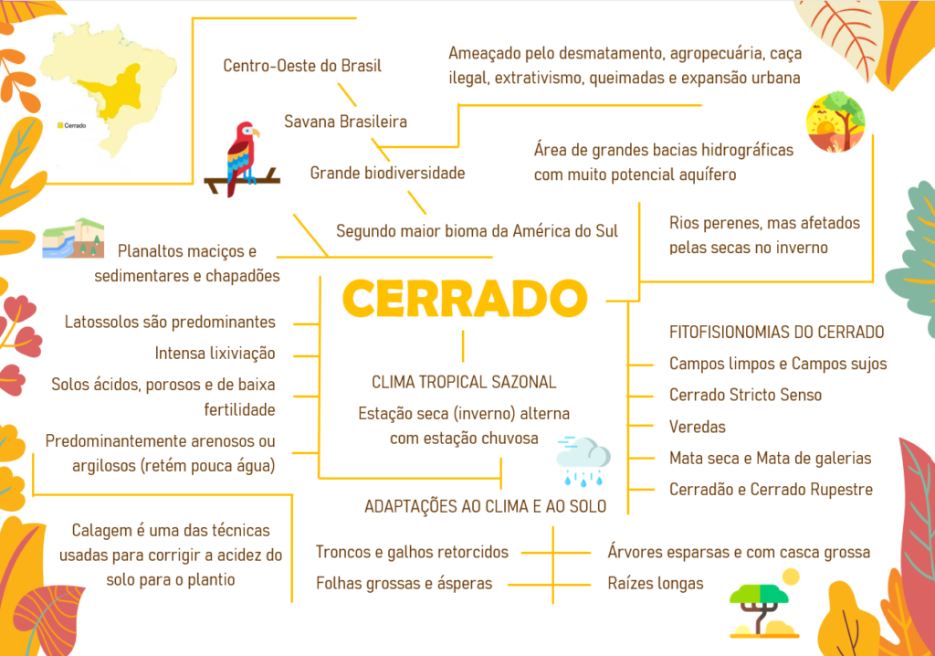 Mapa Mental Sobre O Cerrado - LIBRAIN