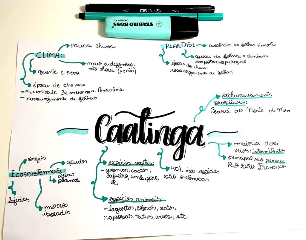 CAATINGA - STUDY MAPS