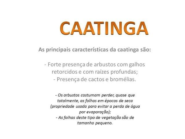 Mapas Mentais sobre CAATINGA - Study Maps