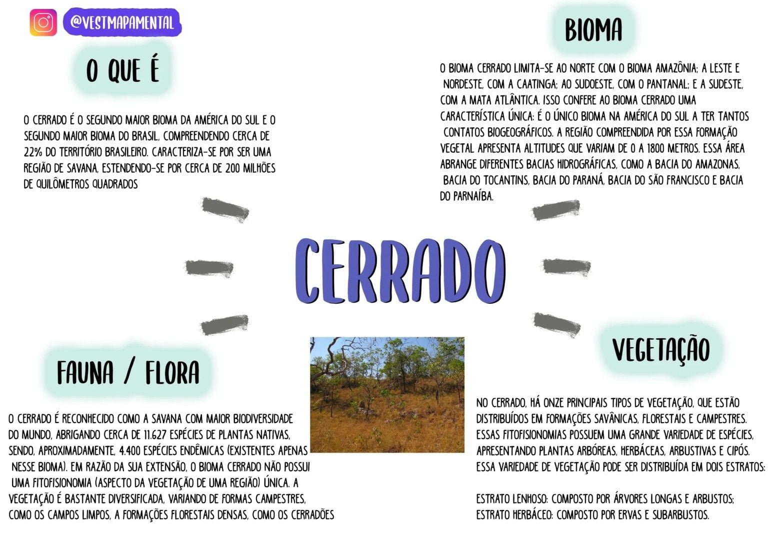 Mapas Mentais sobre CERRADO - Study Maps