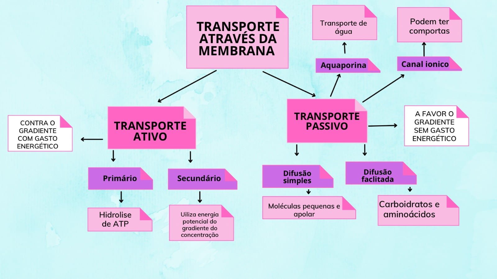 Mapa Mental sobre TRANSPORTE ATIVO E PASSIVO - Study Maps