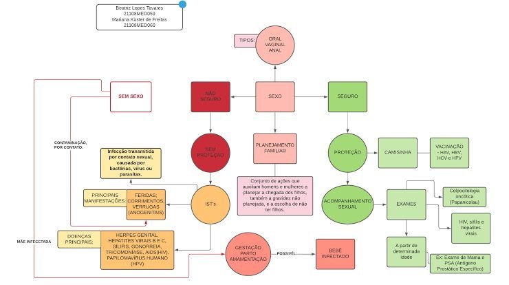 Mapas Mentais sobre ISTS - Study Maps