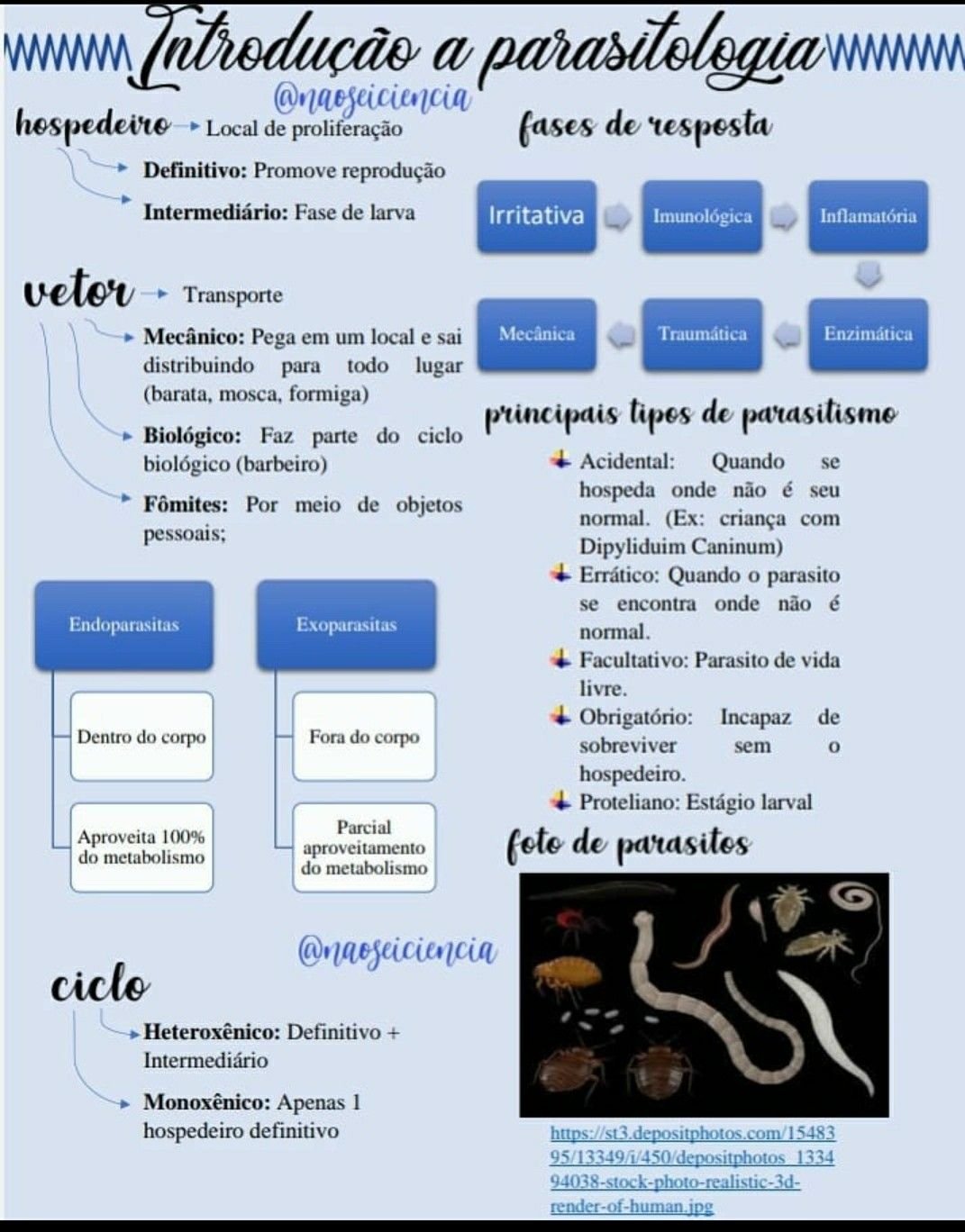 Mapas Mentais sobre PARASITOLOGIA - Study Maps