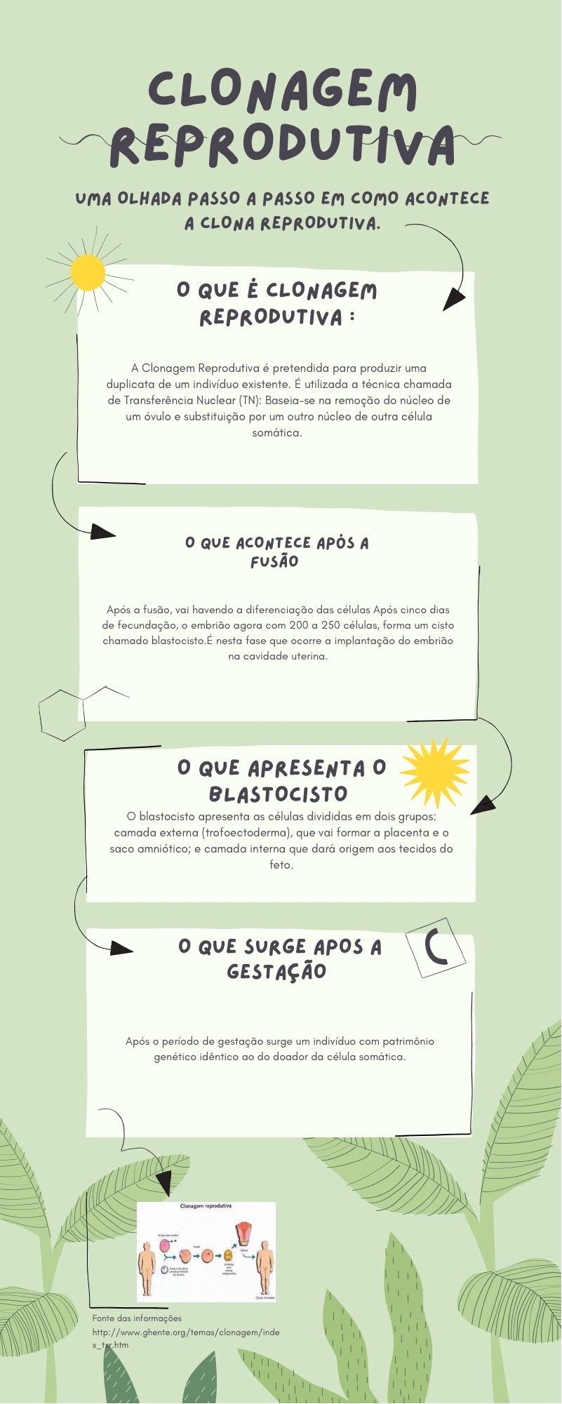 Mapa mental sobre CLONAGEM - Study Maps