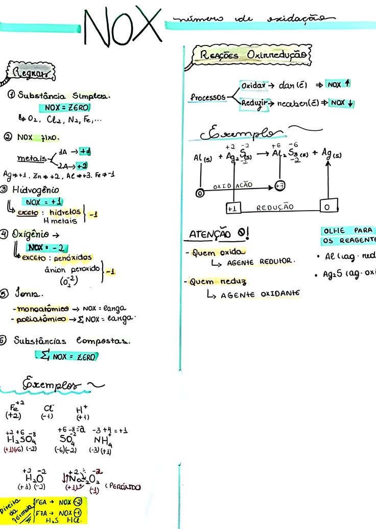Mapa mental sobre NOX - Study Maps
