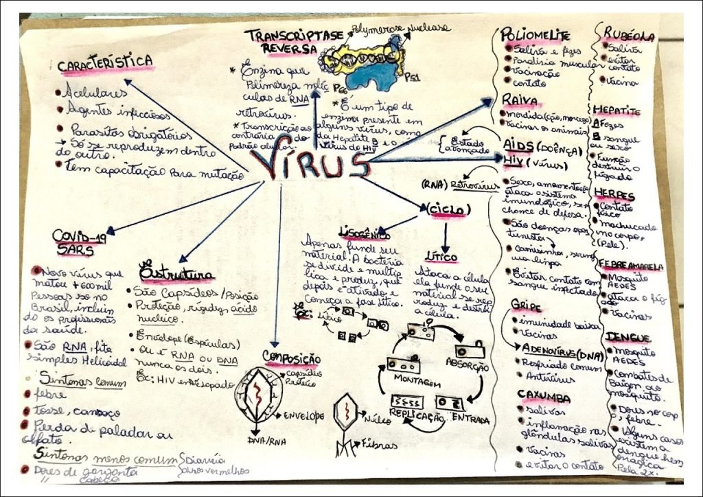Mapas Mentais sobre BACTERIOLOGIA - Study Maps