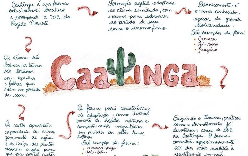 Mapas Mentais sobre CAATINGA - Study Maps
