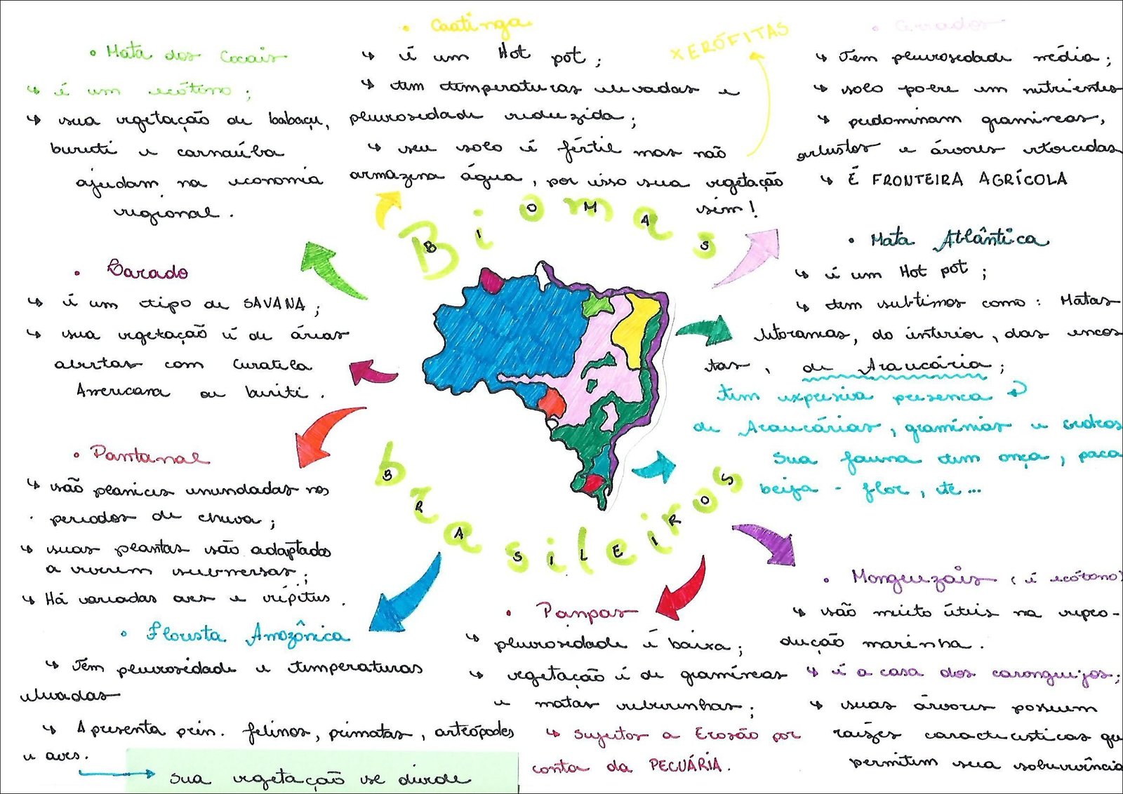 Mapas Mentais sobre CAATINGA - Study Maps