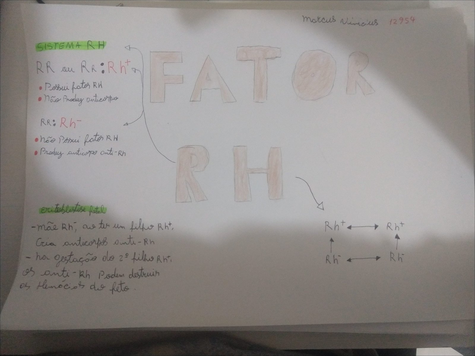 Mapas Mentais sobre SISTEMA RH - Study Maps
