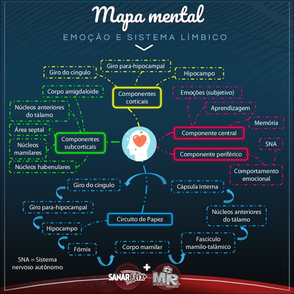 Mapas Mentais sobre SISTEMA LIMBICO - Study Maps