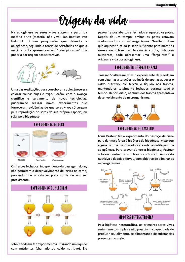 Mapas Mentais sobre ABIOGÊNESE - Study Maps