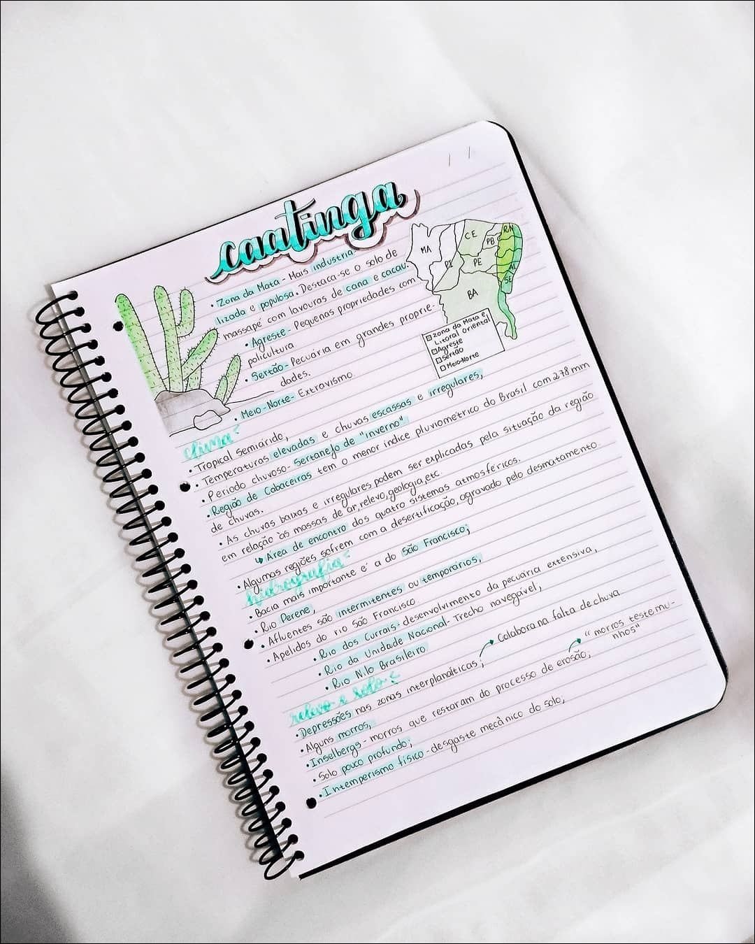 Mapas Mentais sobre CAATINGA - Study Maps