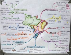 Mapas Mentais sobre CAATINGA - Study Maps