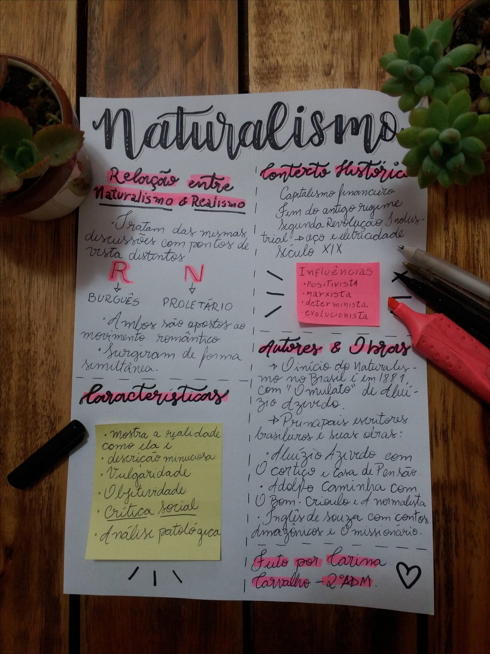 Mapas Mentais sobre NATURALISMO - Study Maps