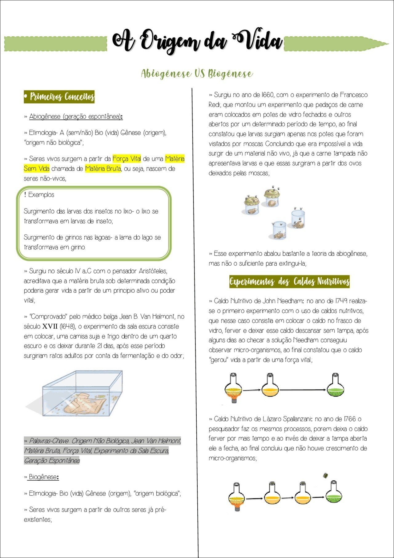 Mapas Mentais sobre ABIOGÊNESE - Study Maps