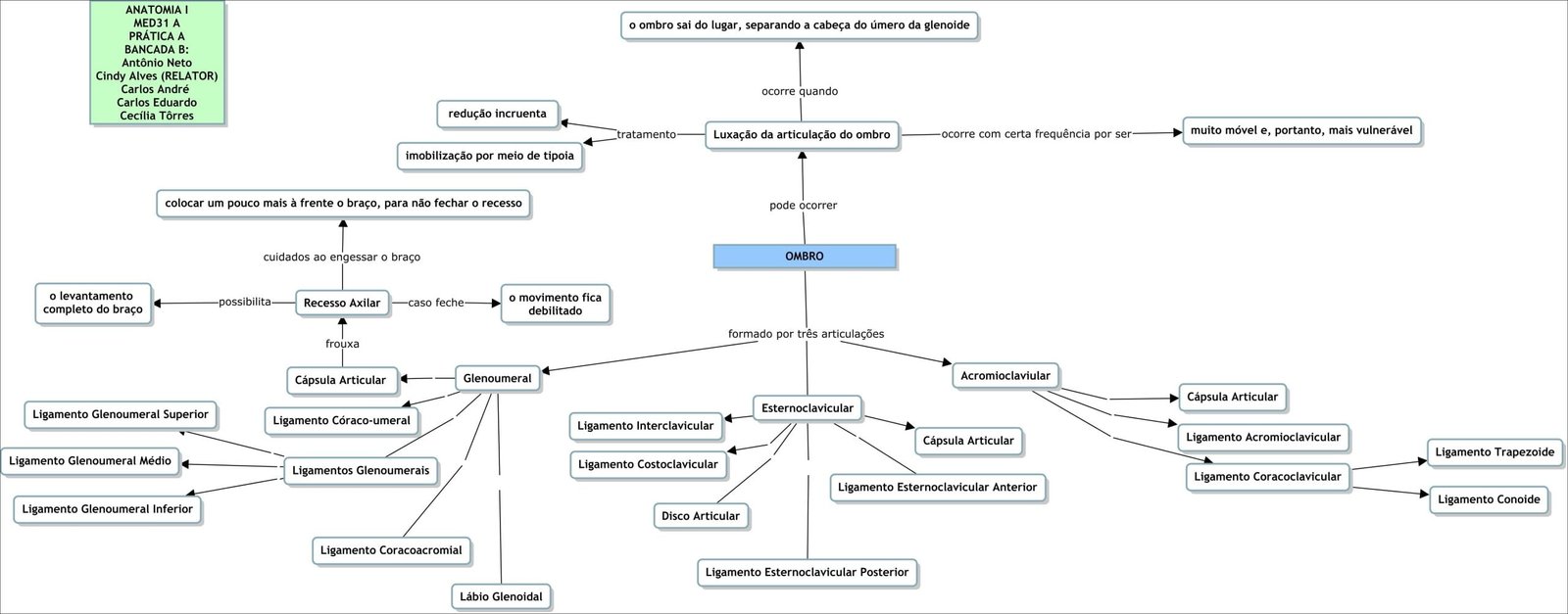 Mapas Mentais sobre OMBRO - Study Maps
