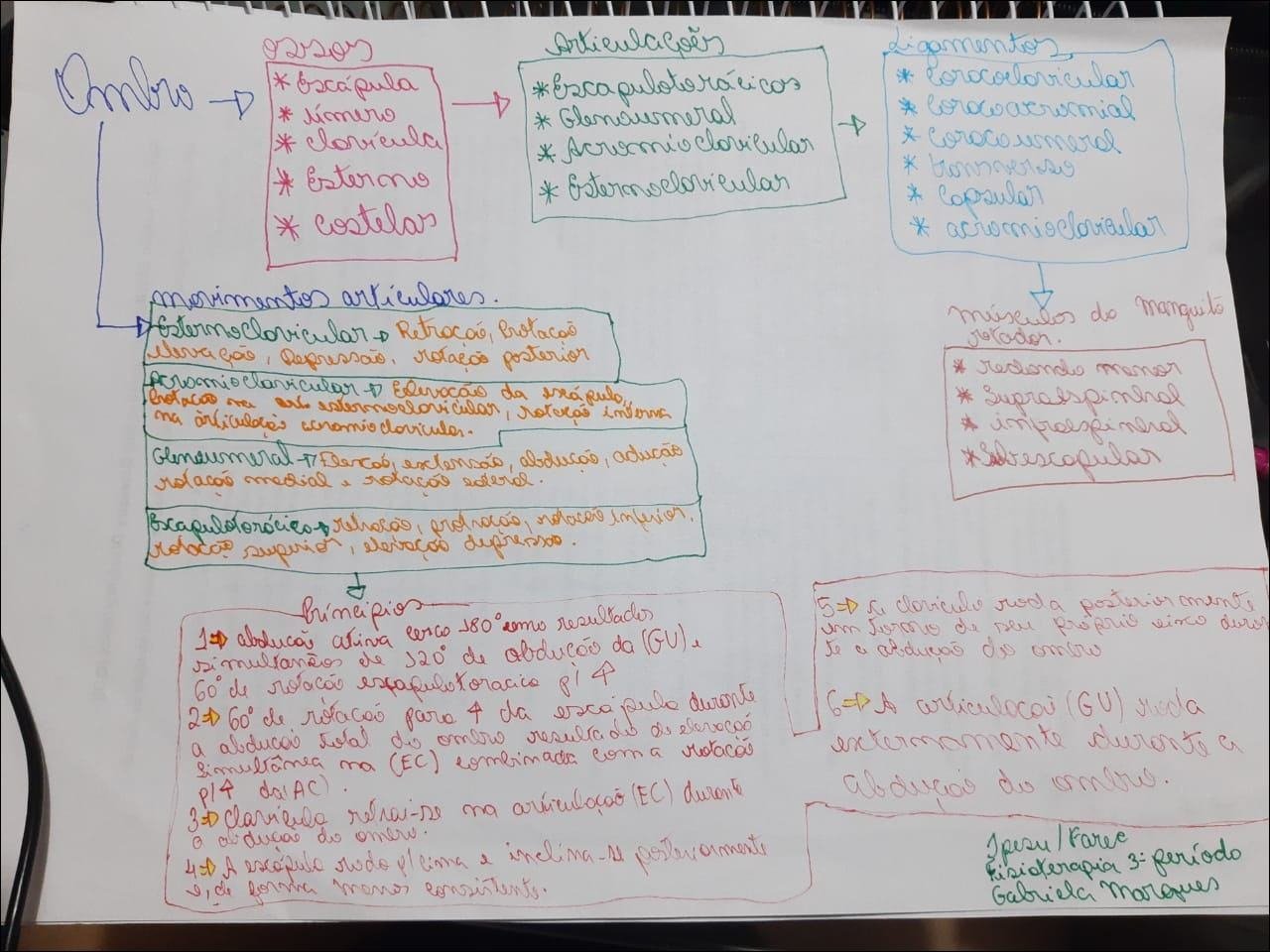 Mapas Mentais sobre OMBRO - Study Maps