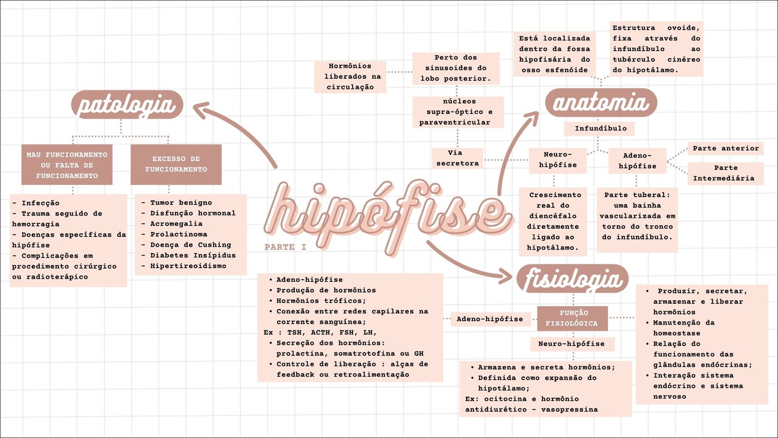 Mapas Mentais sobre HIPOFISE - Study Maps