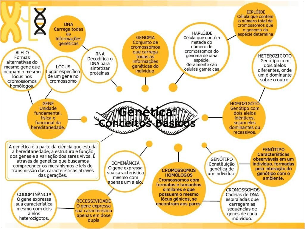 Mapas Mentais sobre ROSALIND FRANKLIN - Study Maps
