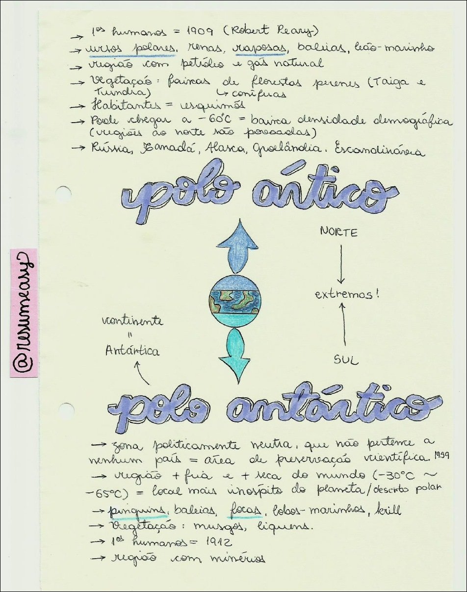 Mapas Mentais sobre ARTICO - Study Maps