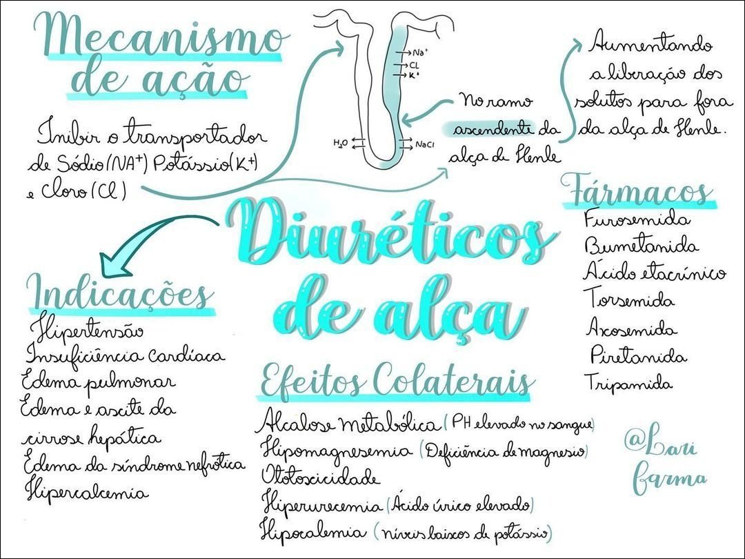 Mapas Mentais sobre DIURETICOS - Study Maps