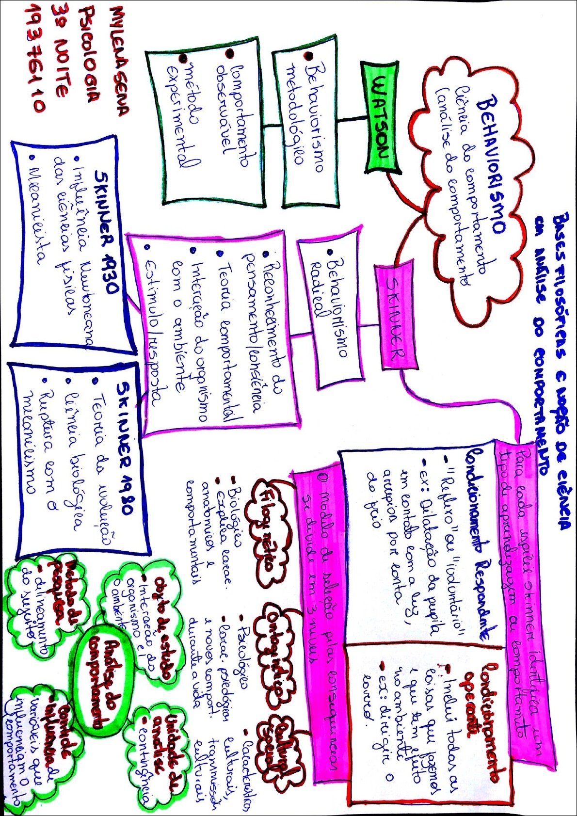 Mapas Mentais sobre BEHAVIORISMO - Study Maps