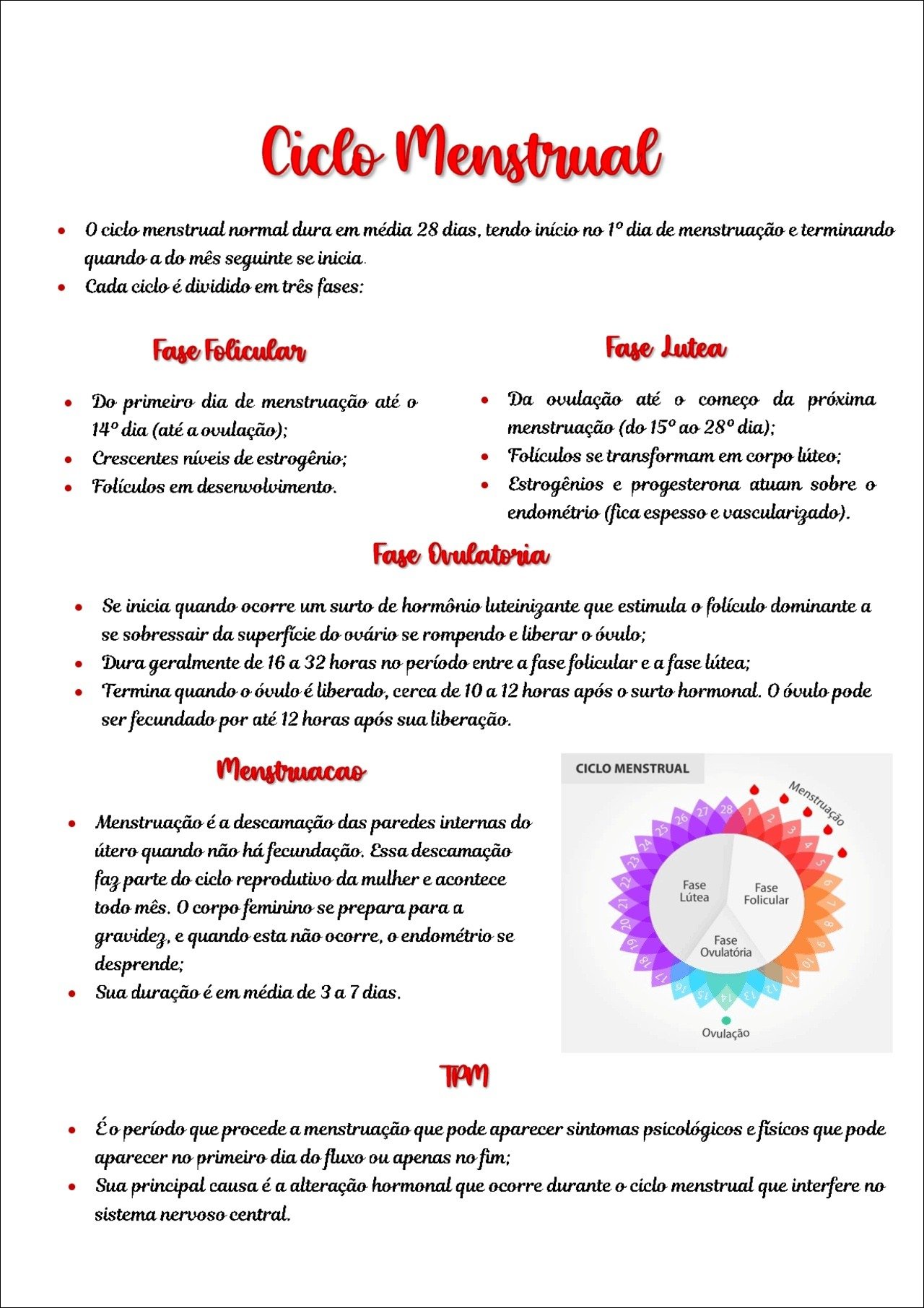Mapas Mentais sobre CICLO MENSTRUAL - Study Maps
