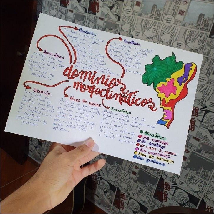 Mapas Mentais sobre CAATINGA - Study Maps